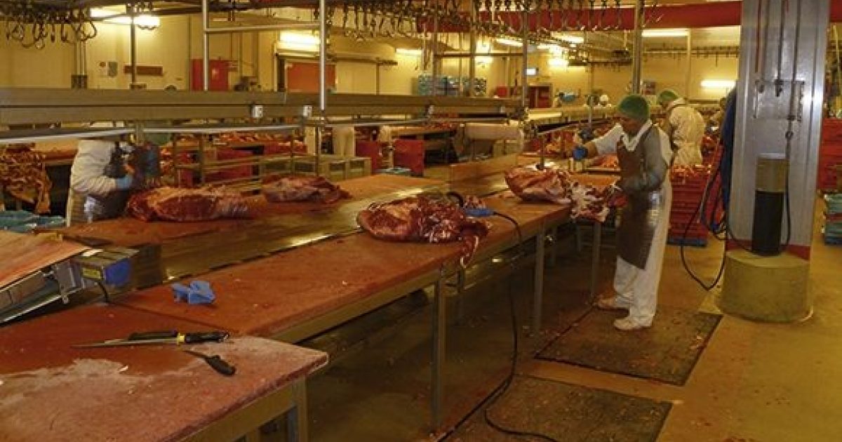 DVO | Viangro steeds actiever op markt bereide gerechten