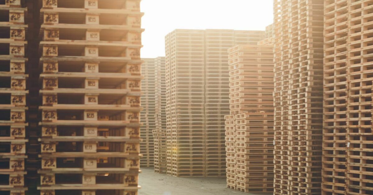 DVO | PGS Group opent eerste Britse site voor tweedehands pallets