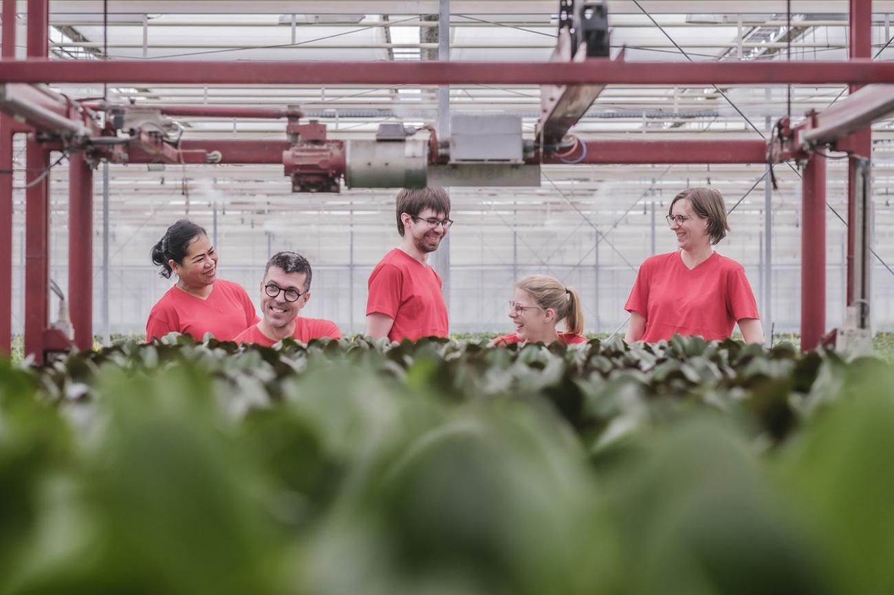 DVO | Microflor gaat voor glimlachende re-branding