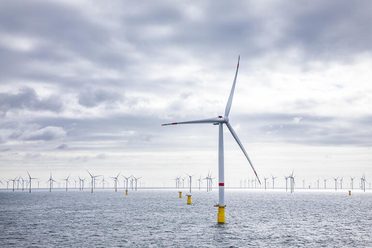 DVO | DEME Group tekent partnerschapsovereenkomst met CIP