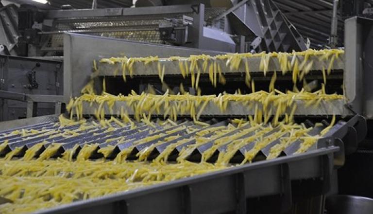 DVO | Clarebout Potatoes overweegt investering van 300 miljoen euro…