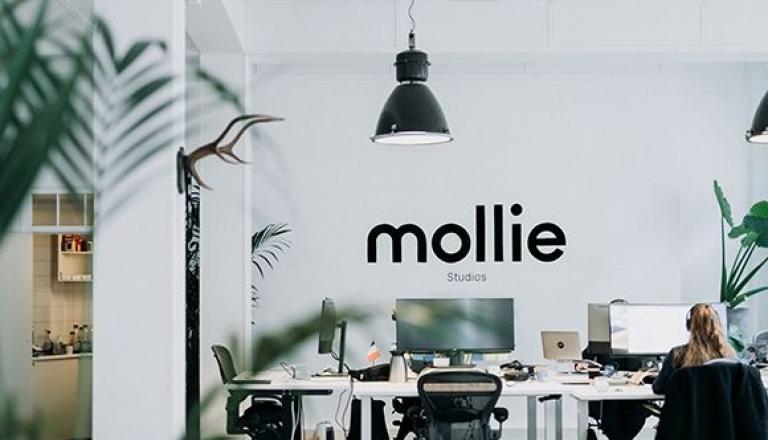 DVO | Mollie biedt als eerste PSP Klarna aan in België