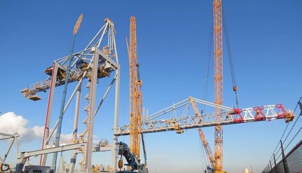 DVO | DP World neemt twee nieuwe mega-kranen in dienst DVO | DP World neemt twee nieuwe mega-kranen in dienst